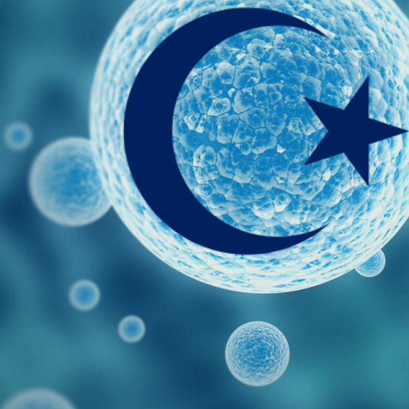 Embryonic Stem Cell Research According to Islamic Texts and Beliefs ...